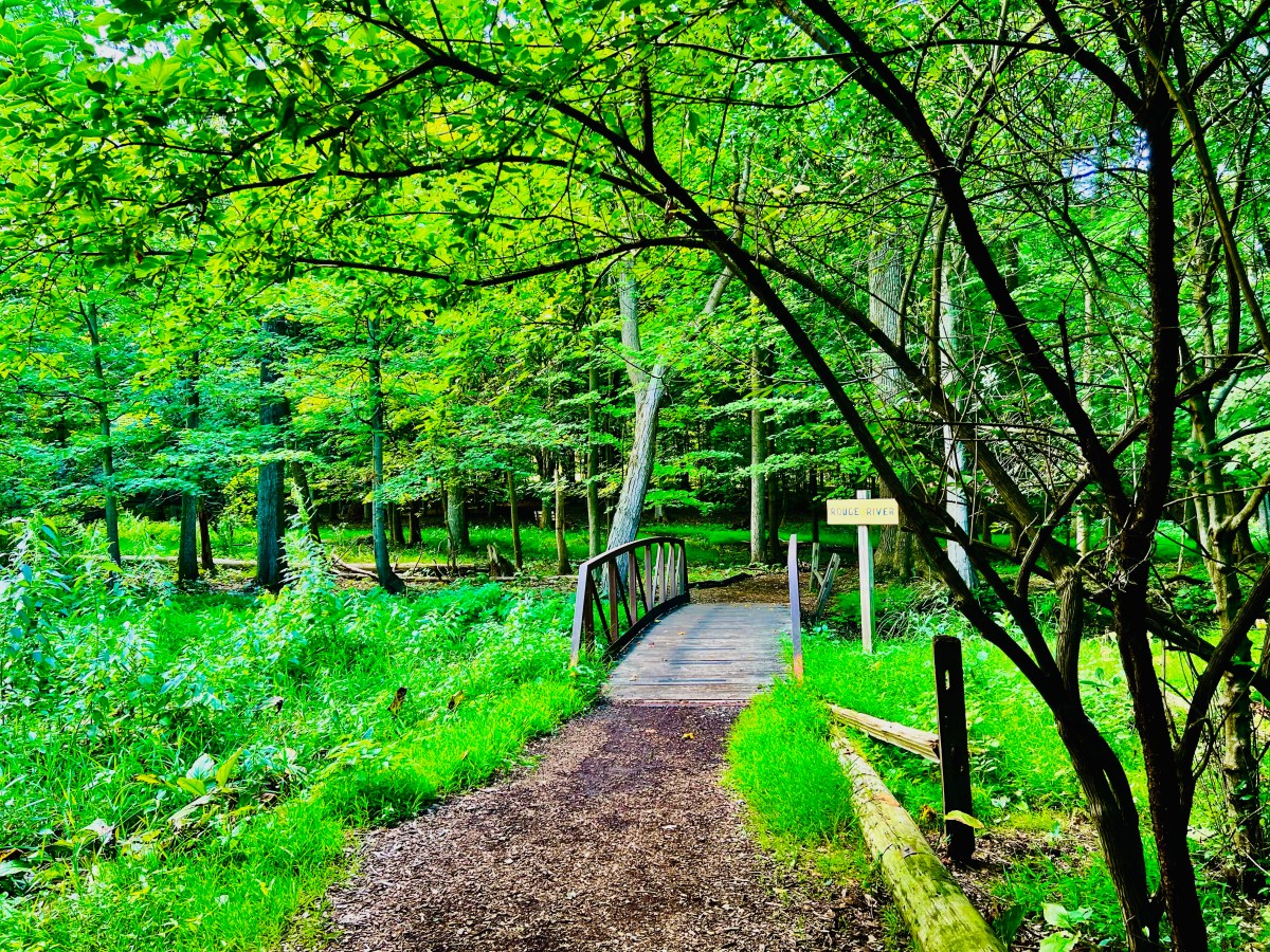 Stage Nature Center | Paroxysm of Giggles / Critical Mass